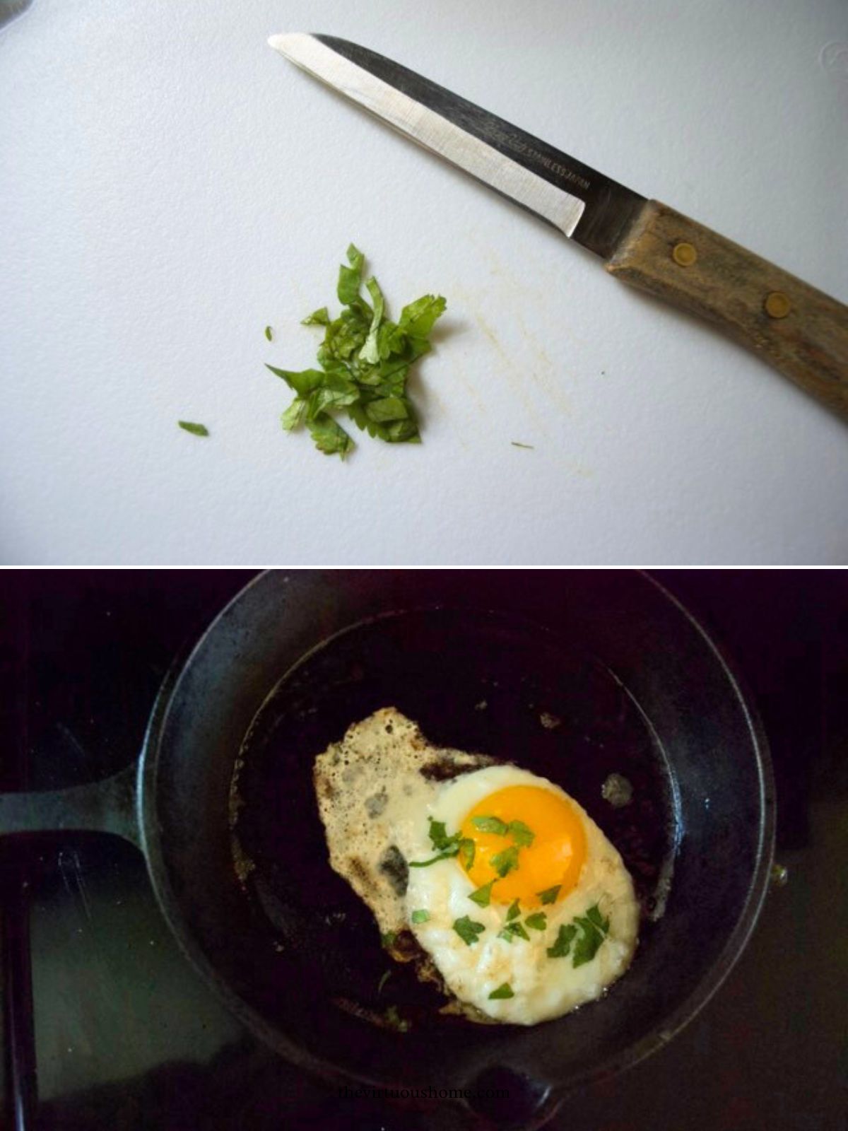 Best Cilantro Eggs Recipe with Extra Topping Options - The Virtuous Home