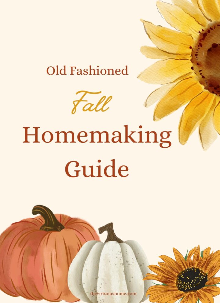 Home - The Virtuous Home