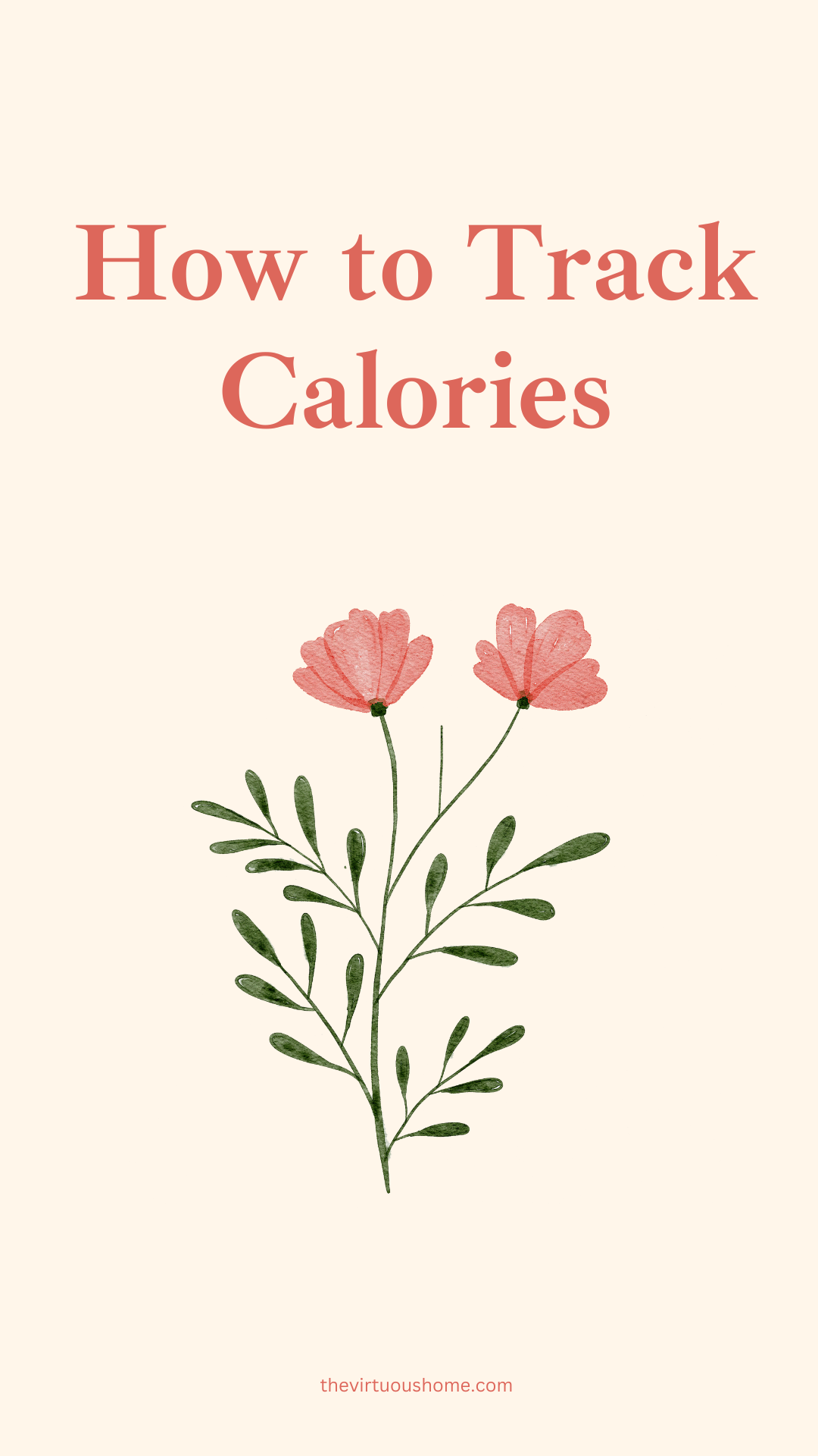 How to Track Calories and Macros - The Virtuous Home